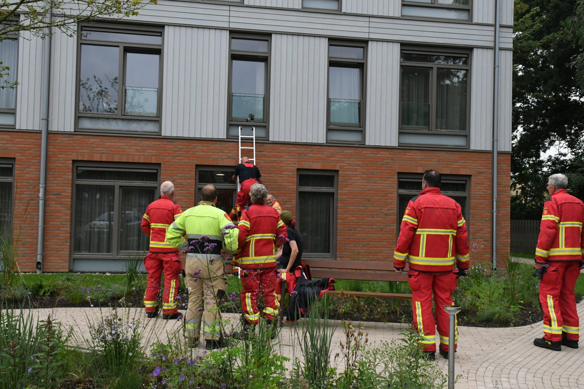 Brandweer Marum bevrijdt vastzittende Vlaamse gaai bij verzorgingstehuis - 112Marum